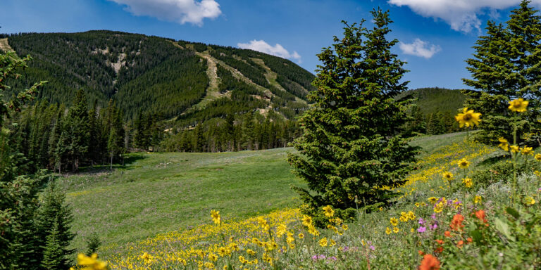 Summer Operations - Red Lodge Mountain